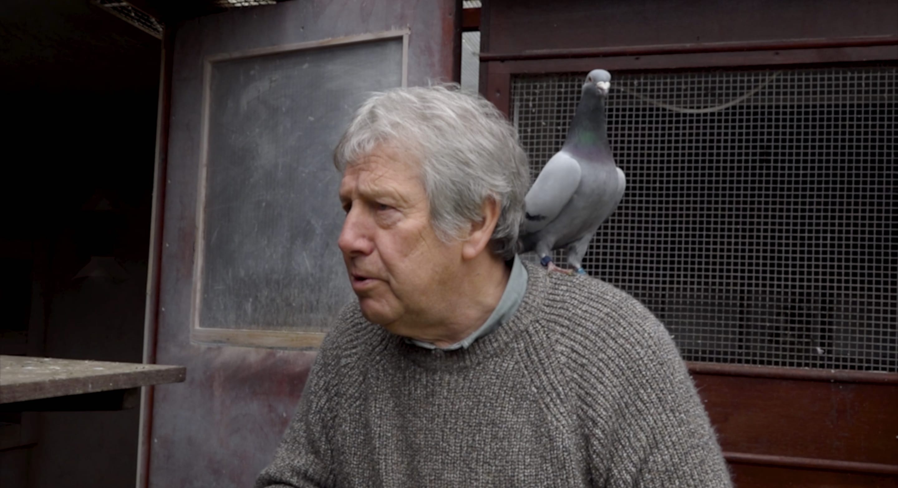 Every Dove is a Pigeon and Every Pigeon is a Dove | Ethnofest